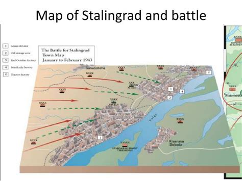 Battle Of Stalingrad Map In English