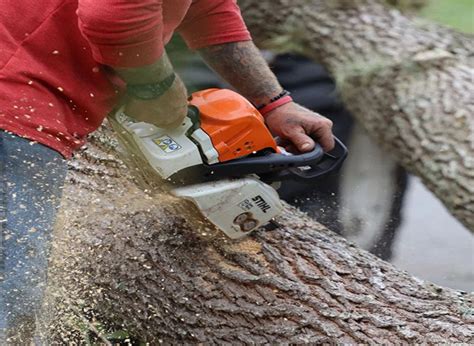 Sands Tree Service Peck Kansas Treecarehq