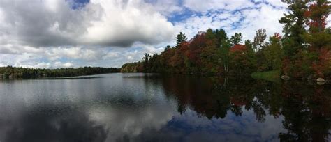 Being A Basic Girl In The Fall Basic Girl Girl Falling Fall