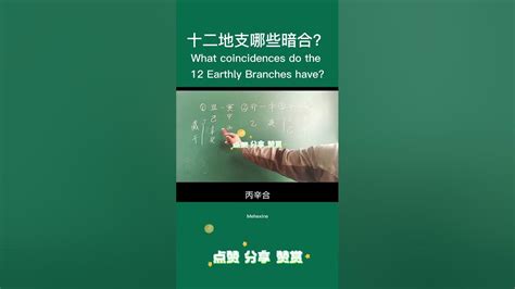 十二地支哪些暗合？天干地支 易经 易经风水 易经的智慧 国学 国学智慧 国学文化 传统文化 Chineseculture 风水 Youtube