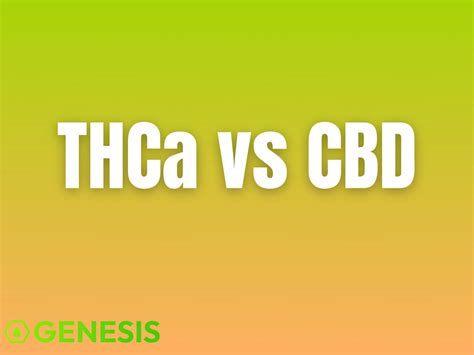 Thca Vs Cbd Explained Simply With Real Product Guidance Genesis