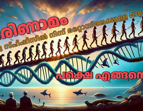 Motionbooks Decoding Evolution Natural Selection Explained