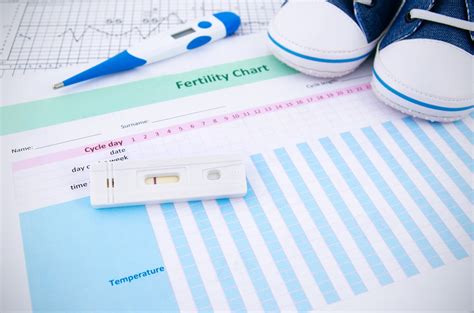 Fertility Tests For Women How Do You Test Your Fertility