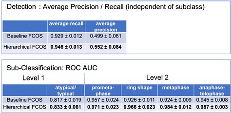 Detection Of Atypical Mitotic Figures Bvm2023 Talk