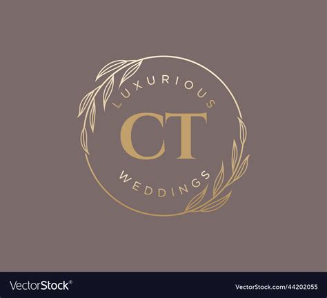 Ct Initials Letter Wedding Monogram Logos Vector Image