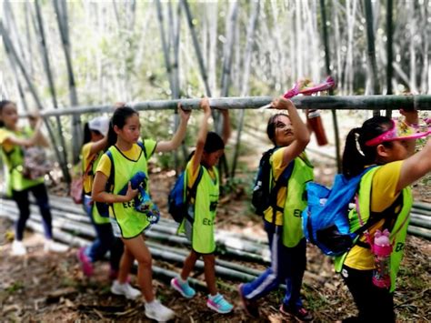 Premium Photo Siblings Playing On Tree