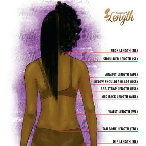 Natural Hair Growth Chart The Natural Hair Growth Cycle Acknowledging