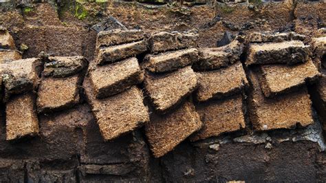 What Is Peat And What Does It Have To Do With Scotch
