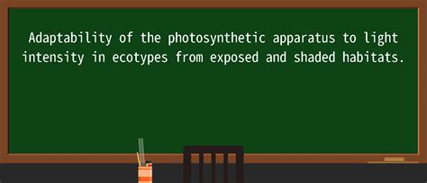 【英语单词】彻底解释“adaptability”！ 含义、用法、例句、如何记忆 おもしろい英文法
