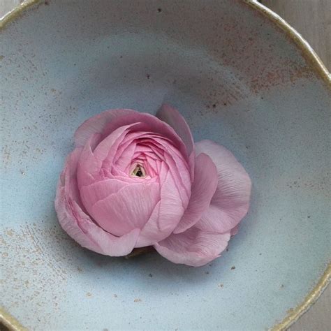 Sophie Gallé Soas Céramique