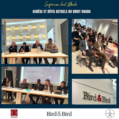 Les États Membres De Lohada