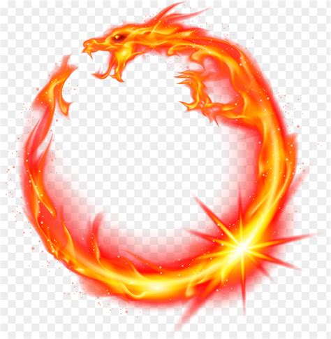 Dragon Circle Logo Png Angelina Has Payne