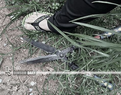 Woman In 60s Narrowly Escapes Scissors Falling From Building In Tuen