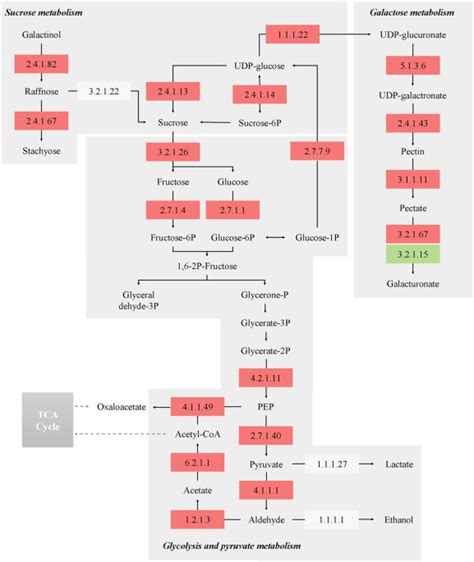 Transcriptome Analysis Of Watermelon Citrullus Lanatus Fruits In