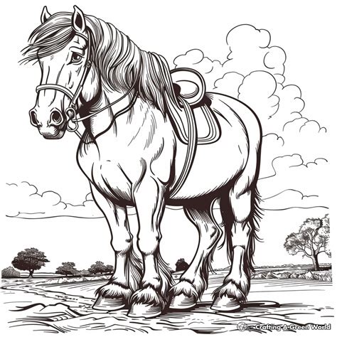Clydesdale Coloring Pages