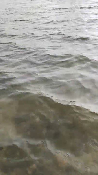 Pullichira Palli Youtube