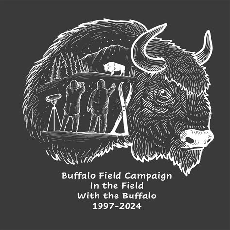 Buffalo In A Field Why This Sight Still Stops Traffic Siemag Us
