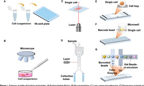 figure 4 from technologies and applications of single cell dna