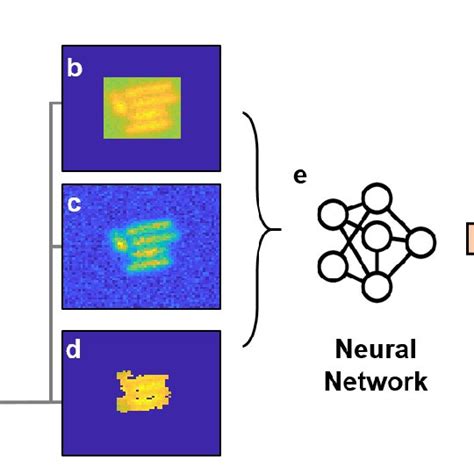 Image Processing Workflow Raw Fluorescent Microscope Images A Were