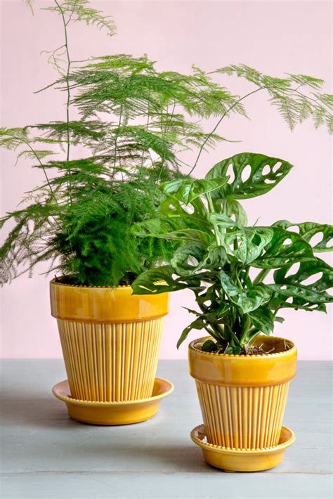Linear Pot Bloempot Planten Huisplanten