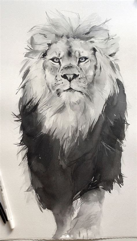 Black And White Lion Drawing