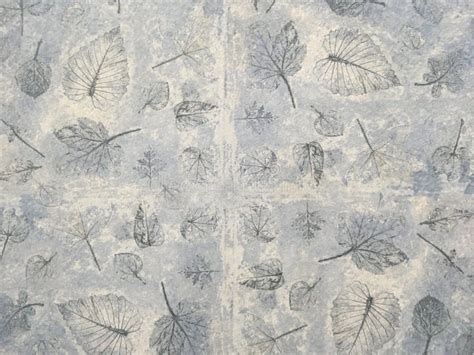 Abstract Graphic Texture Line Pattern For Textile Tile Or Background