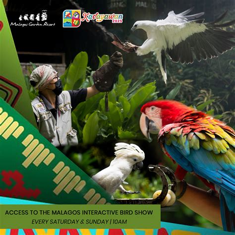 Malagos Garden Resort Davao Experience The Joy Of Spending Time With