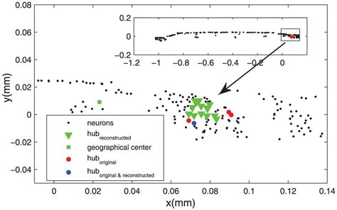 Hubs In The Reconstructed And Original C Elegans Networks The Inset