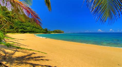 100 Cute Beach Wallpapers