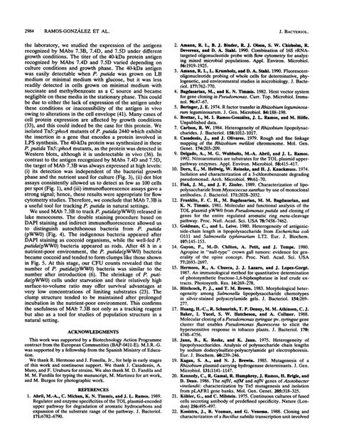 Tracking Genetically Engineered Bacteria Monoclonal Antibodies Against