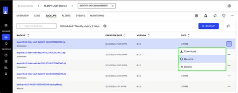 Backup Overview Radiant Logic Documentation Backup Overview Radiant Logic Documentation