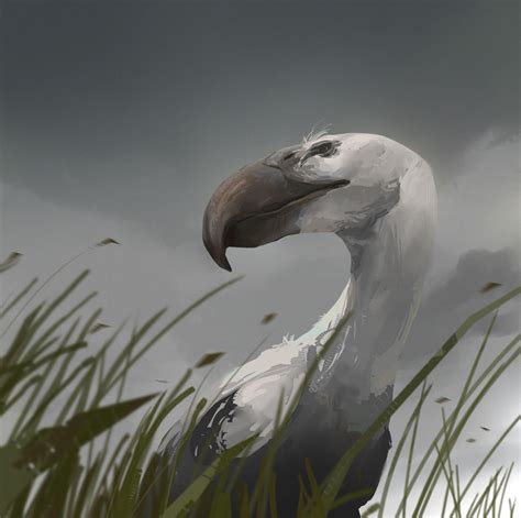 Kelenken By Rudolfhima On Deviantart