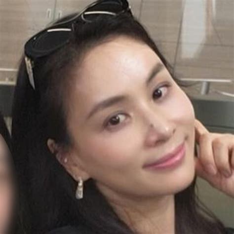 고소영 올드머니룩 더로우 빈들백 보부상 가방 가격 네이버 블로그