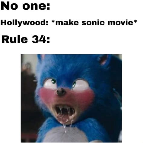 No One Hollywood Make Sonic Movie Rule 34 Ifunny