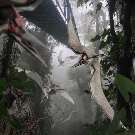 Pteranodon Of Jurassic World By Urbnvampslayer On Deviantart