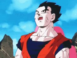 No Crying Gohan Meme  671×500 Gohan