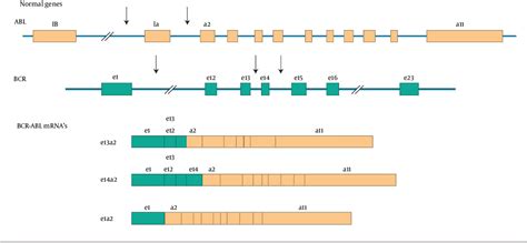 Table 1 From Characterizing Of Four Common Bcr Abl Kinase Domain Mutations T315i Y253h M351t