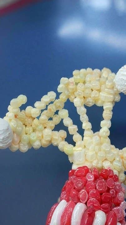 5섯 살들과 예쁜 손 ️ Youtube