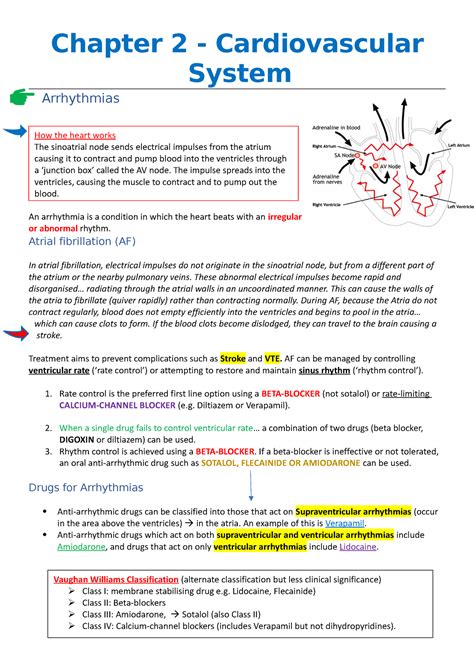 Chapter Cardiovascular System PY KUL Studocu
