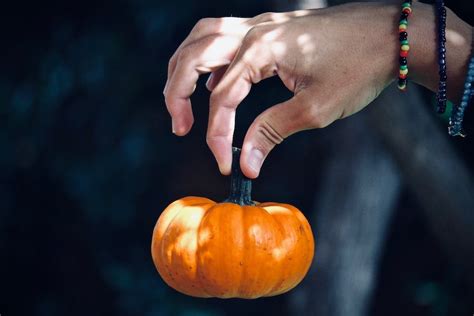 Jack Be Little Pumpkin Seeds Growing Guide For Mini Pumpkins Yenzah