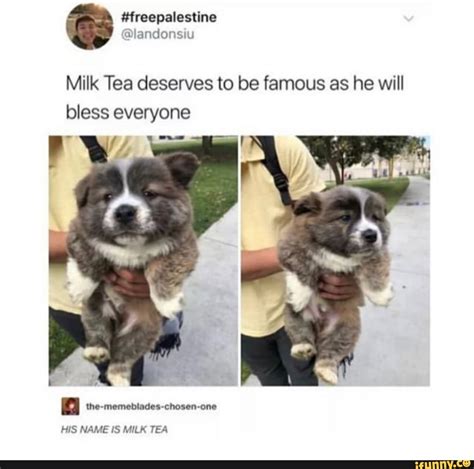 Milk Tea Memes