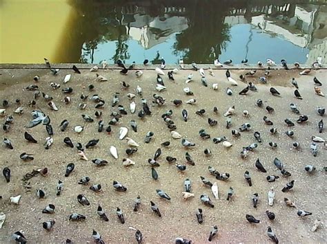 Robin Wong Kodak Charmera Retro Styled Tiny Plastic Camera That