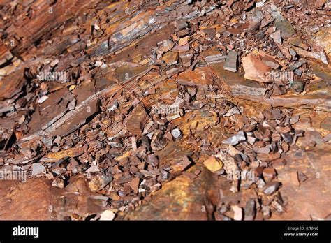 Red Chert Rocks On A Hill In The Marin Headlands In The Bay Area