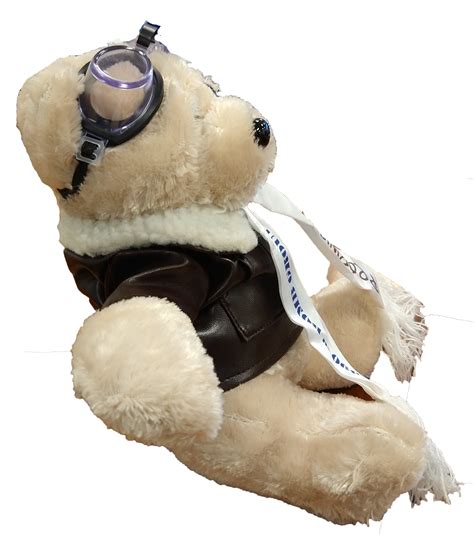 Prop Wash Bear Plush Toy 390th Memorial Museum