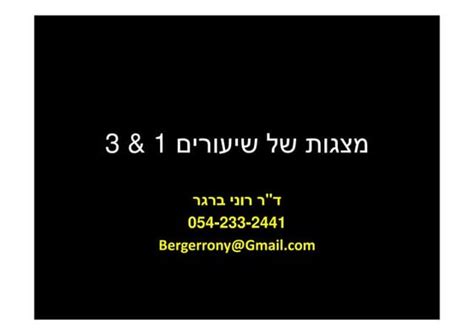 מצגת גיא פרי Pptx