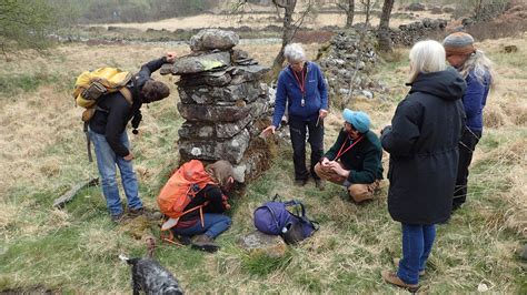 Hardknott Lichen Report 26 April 2025 Cumbria Lichens And Bryophytes
