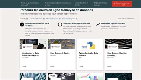 Data Analyst Responsabilités Qualifications Et Perspectives De Carrière
