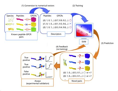 scheme of pd incorporated svm based identification of novel