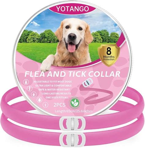 Mus Millimetro Favola Amazon Antiparassitari Per Cani Allievo Anfibio Lusso