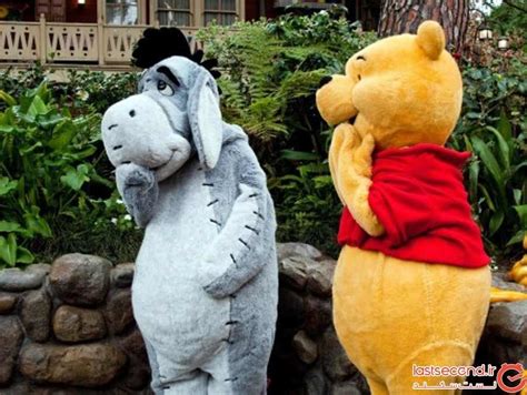خانه واقعی وینی پو پو خرسه در کمبریج حقیقت دارد تصاویر خبرآنلاین